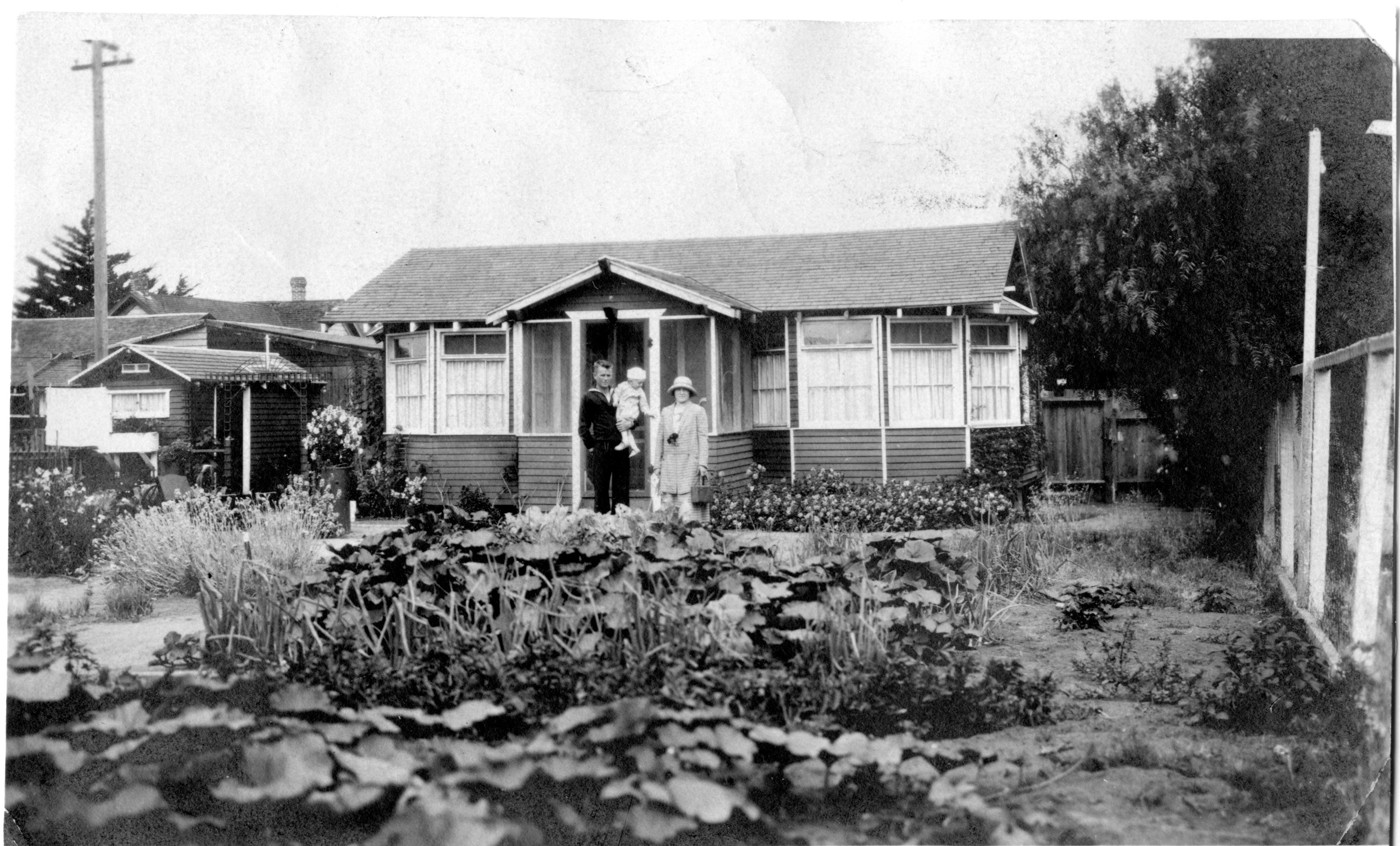 Tom Rice – Island Icon – Island Icons